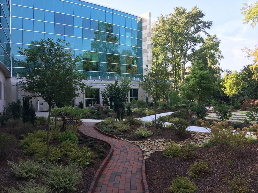 Healing Gardens at Wesley Long Hospital – Studio Pagliai